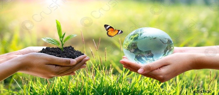 पर्यावरण का महत्त्व (importance of environment) - जनभाषाहिन्दी.कॉम